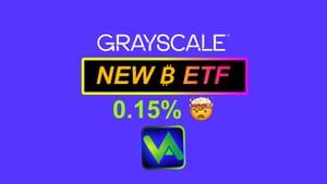 What is a Virtual Asset Service Provider (VASP)? 🚀 | Virtual Assets